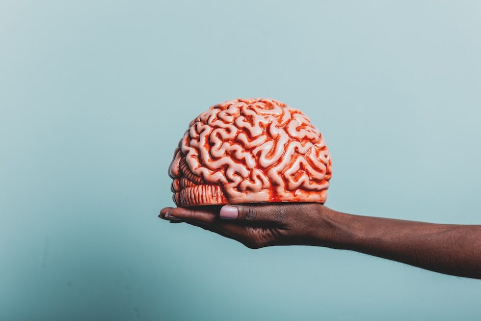 The Effects Of Fear On The Brain And Body